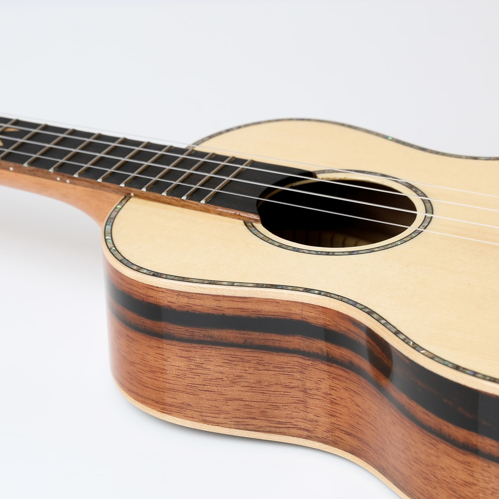 Snail Ukuleles BHC-5T Solid Spruce Top Tenor Ukulele – Abbey Road Music